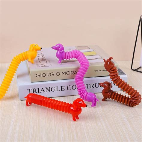 강아지 물총 팝튜브 팝잇 장난감 파이프 푸쉬팝 청각 촉감 감각 발달 놀이 홈플러스 택배배송