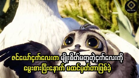 ဇင်ယော်ငှက်လေးက မျိုးစိတ်မတူတဲ့ငှက်လေးကိုမွေးစားပြီးနောက် မထင်မှတ်တာဖြစ်ခဲ့ Youtube