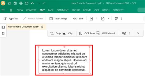 Why Does A Red Box Surround The Page When I Try And Edit My Document