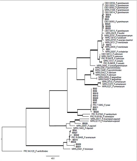 LC MS MS Method Performance Download Scientific Diagram
