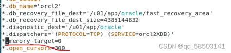 Oracle修改sgapga大小调整sga和pga自动分配 Csdn博客
