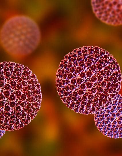 Vaccines And Diseases Yukon Immunize