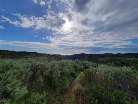 Best Crystal Cove State Park Posts Reddit