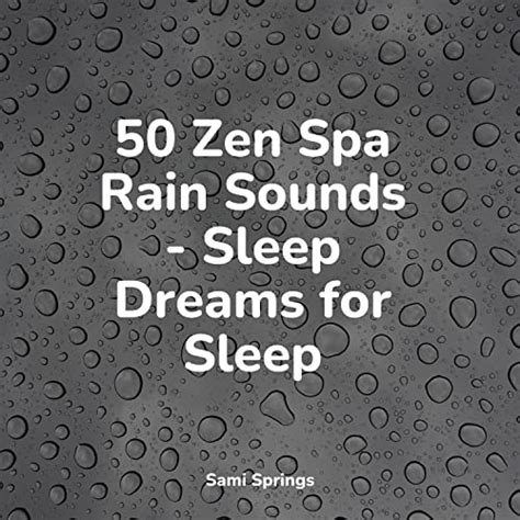 Écouter 50 Zen Spa Rain Sounds Sleep Dreams For Sleep De Sons Da