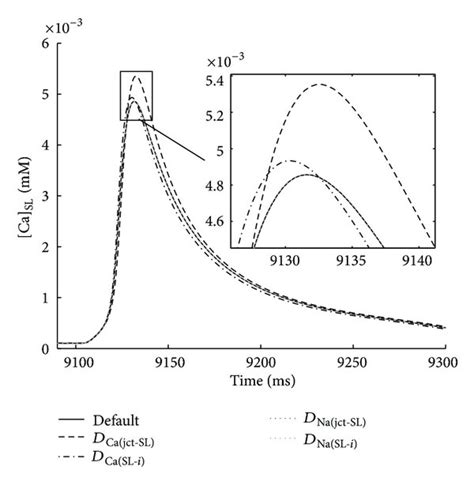 Verification Of Ca 2 And Na Diffusion Sensitivity Predictions