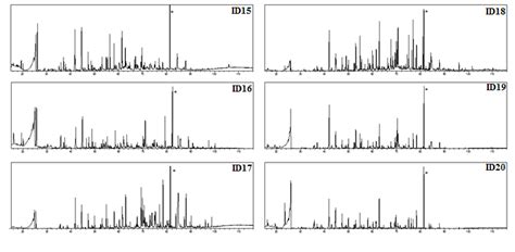 Gc Ms Chromatograms Of Bio Oils From Map Experiments Id15 Id20