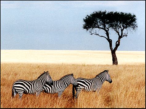 Find The Type Of Encryption Used And The Key Here Is Chegg Com