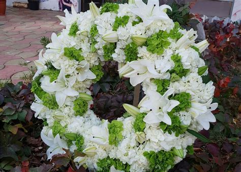 Floraria Iris Alb Mov Galati