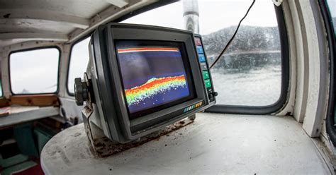 Discover The Depths With Sonar Technology Explore Marine Life