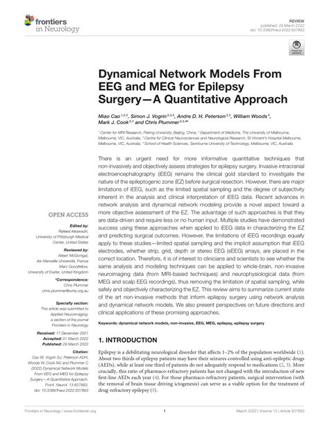 Pdf Dynamical Network Models From Eeg And Meg For Epilepsy Surgery—a Quantitative Approach