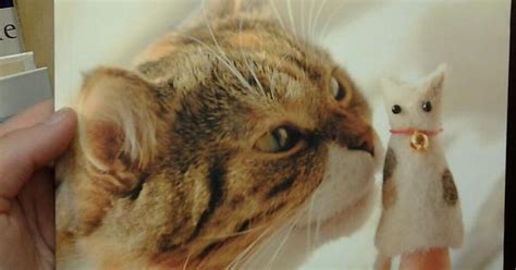 Make Sure You Brush Your Cat On A Regular Basis So You Can Make Sweet