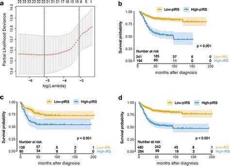 Pirs Construction And Validation A Partial Likelihood Deviance Of