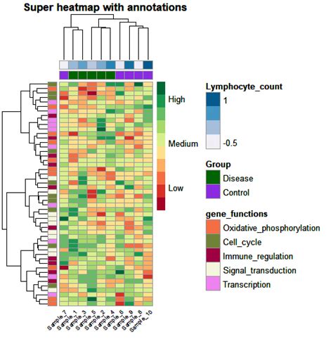 Step By Step Heatmap Tutorial With Pheatmap Biostatsquid