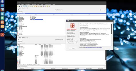 Double Commander A Powerful Dual Pane File Manager For Ubuntulinux