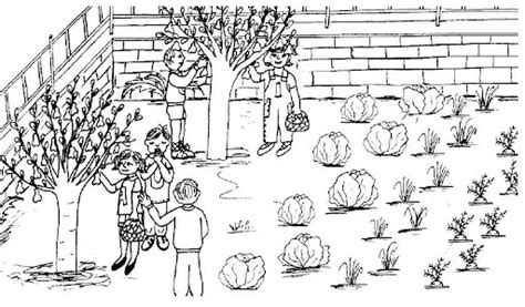 Dibujo De Huerto Escolar Para Colorear Imagui