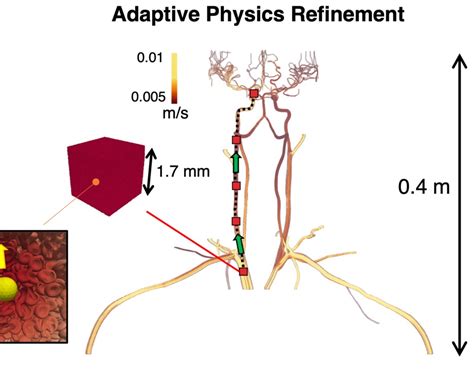 Adaptive Physics Refinement Center For Computational And Digital