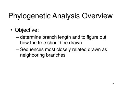 Ppt Phylogenetic Analysis Powerpoint Presentation Free Download Id4535147