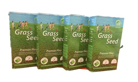 Multi Purpose Rye Grass Seeds Groupon Goods