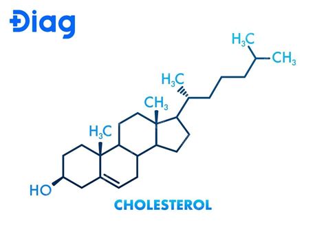 Công Thức Cấu Tạo Của Cholesterol Và Các Loại Cholesterol