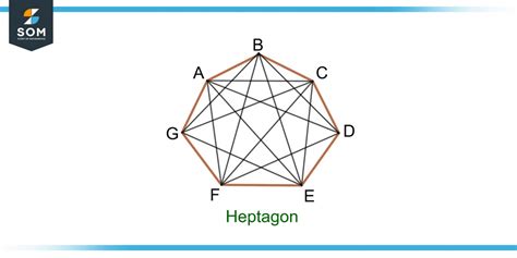 Vertices Definition And Meaning