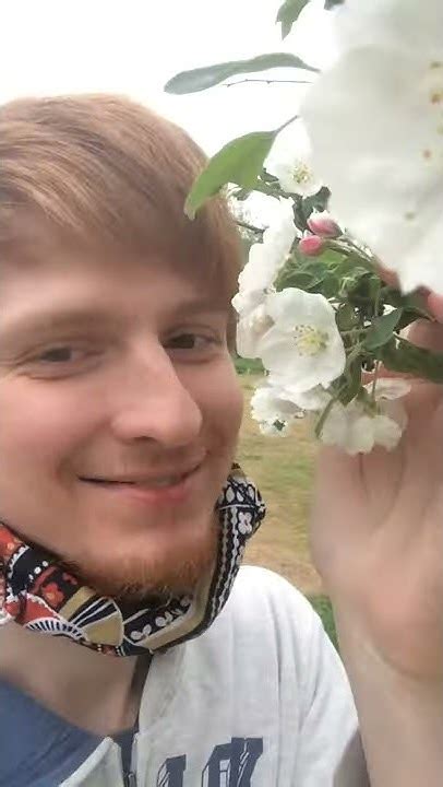 одуванчик Youtube