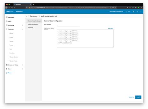 Basics Indexed File Recovery With Networker 194 Nwui Data