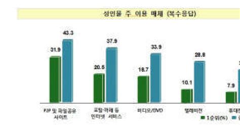 청소년 성범죄 충동 원인은 음란물 영상