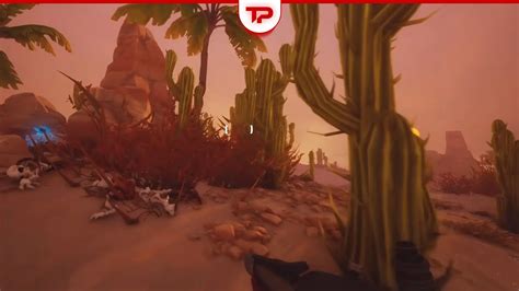 Far Far West Cactus Locations All Graves And Secrets Guide