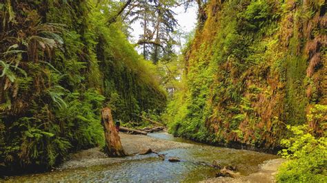Travel Bloggers On Their Favorite Hikes Around The World