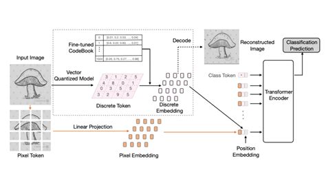 Paper In Iclr 2022 On Discrete Representations Strengthen Vision Transformer Robustness