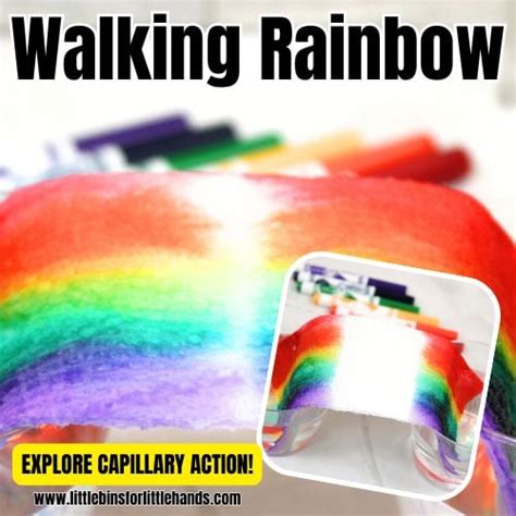 Rainbow Density Column Experiment