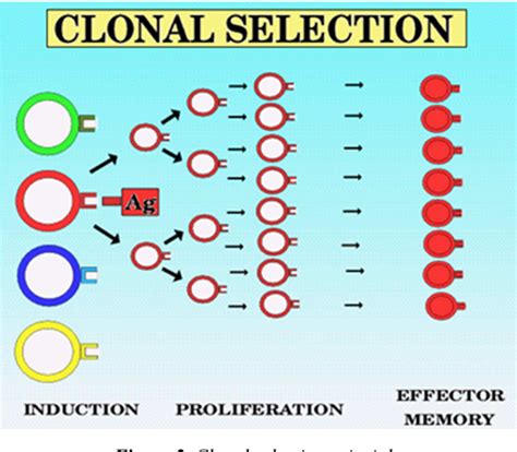Figure 2 From Artificial Immune System Based Local Search For Solving