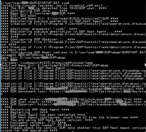 Sapjvm Update Procedure Using Sum With Screenshots Sap Community