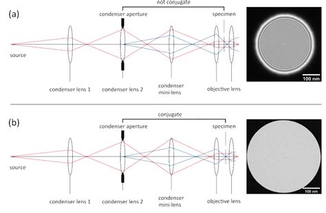 Köhler Illumination Glossary Jeol Ltd
