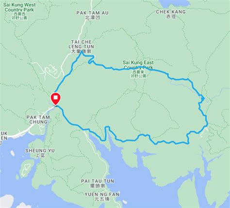 Pebble Dash S K A T Runners