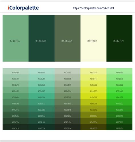 6838 Forest Green Color Palettes And Gradient Ideas Icolorpalette
