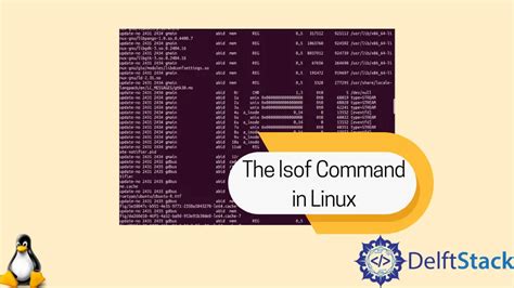 El Comando Lsof En Linux Delft Stack