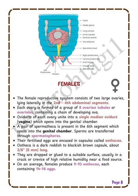Cockroach Class 11th Neet Cbse Ncert Biology Pdf