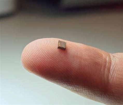 Innatera Shows Risc V Neuromorphic Edge Ai Microcontroller Lifeboat