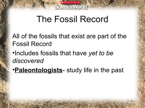Fossils PPT