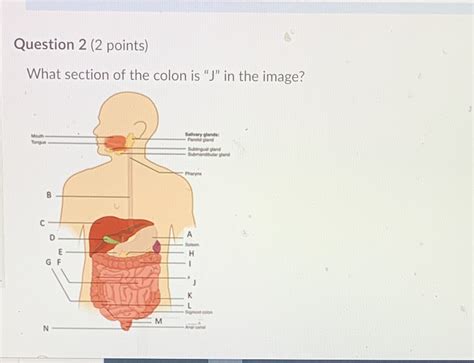 [solved] Sigmoid Transverse Ascending Descending Question 2 2 Points What Course Hero
