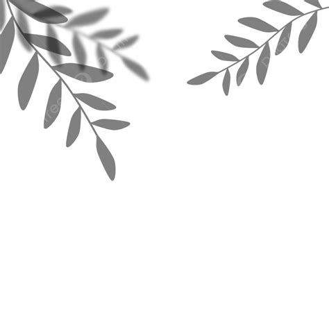 Leaf Shadows Png Picture Cute Shadow Leaf Shadow Leaf Light Png Image For Free Download