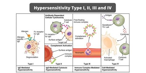 15 Difference Between Antiseptic And Antibiotic Biology Notes Online