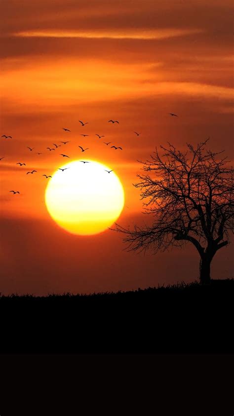 Sun Images