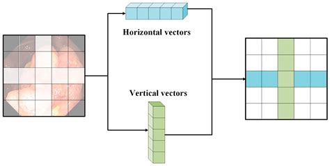 Gccswin Unet Global Context And Cross Shaped Windows Vision Transformer Network For Polyp
