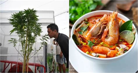 Banyak Makanan Ditambah Ganja Di Thailand Untuk Bikin Pelanggan Ketagihan