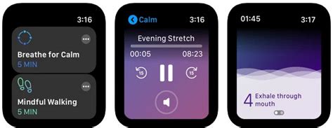 Mejores Apps De Salud Y Fitness Para Apple Watch 2026