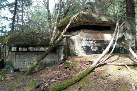 War Bunkers And Wildlife Kayak Tour In Sitka Alaska