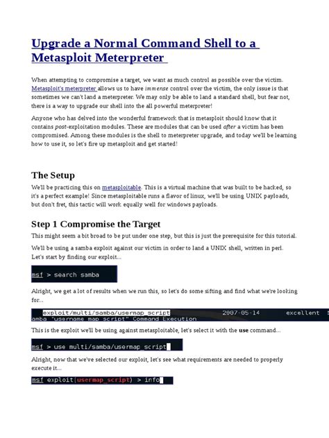 metasploit meterpreter pdf exploit computer security areas of