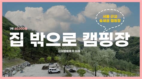 🇰🇷 🥈서울근교숲숲 🐝 버프 받은 캠핑장 Youtube